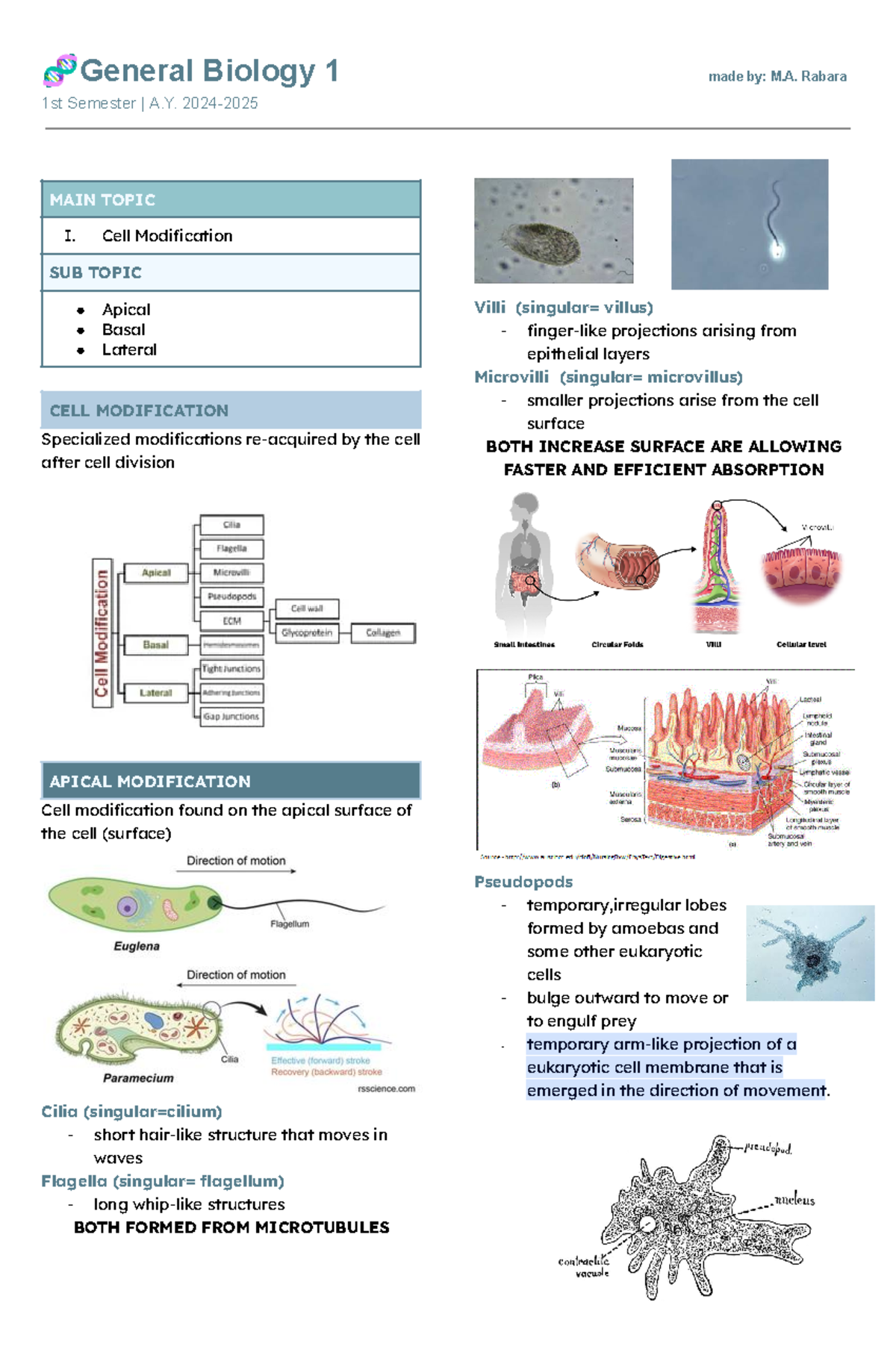 Cell Modification in General Biology 1 (BIO101) - A. 2024 - Studocu