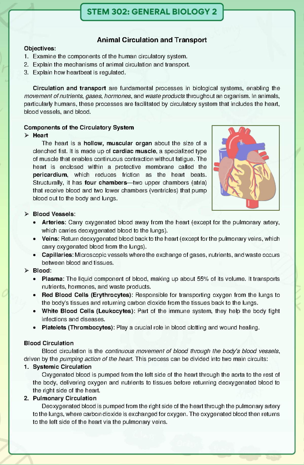Animal Circulation and Transport - Animal Circulation and Transport ...