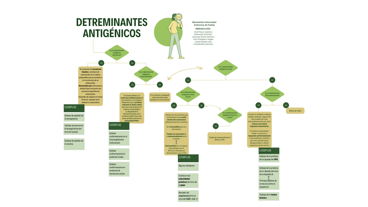 Comparativa de Tipos de Inmunidad: Activa, Pasiva, Innata y Adaptativa ...