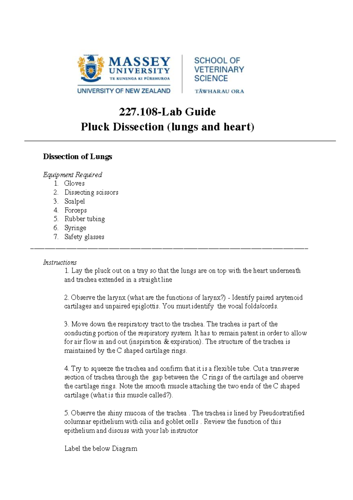227.108 Final Lab Guide: Lungs and Heart Dissection Instructions - Studocu