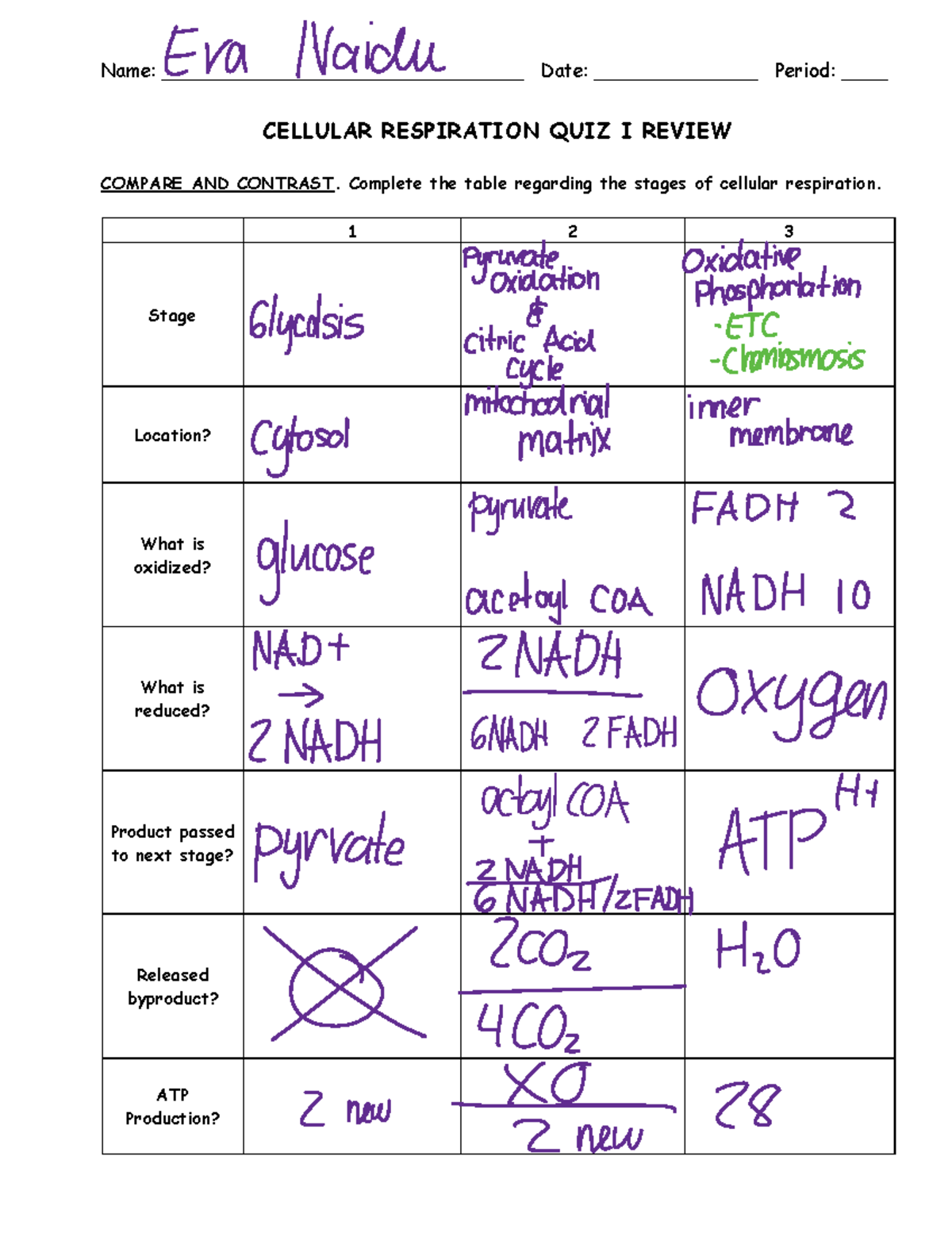 CELLULAR RESPIRATION QUIZ I REVIEW: COMPARE & CONTRAST - Studocu