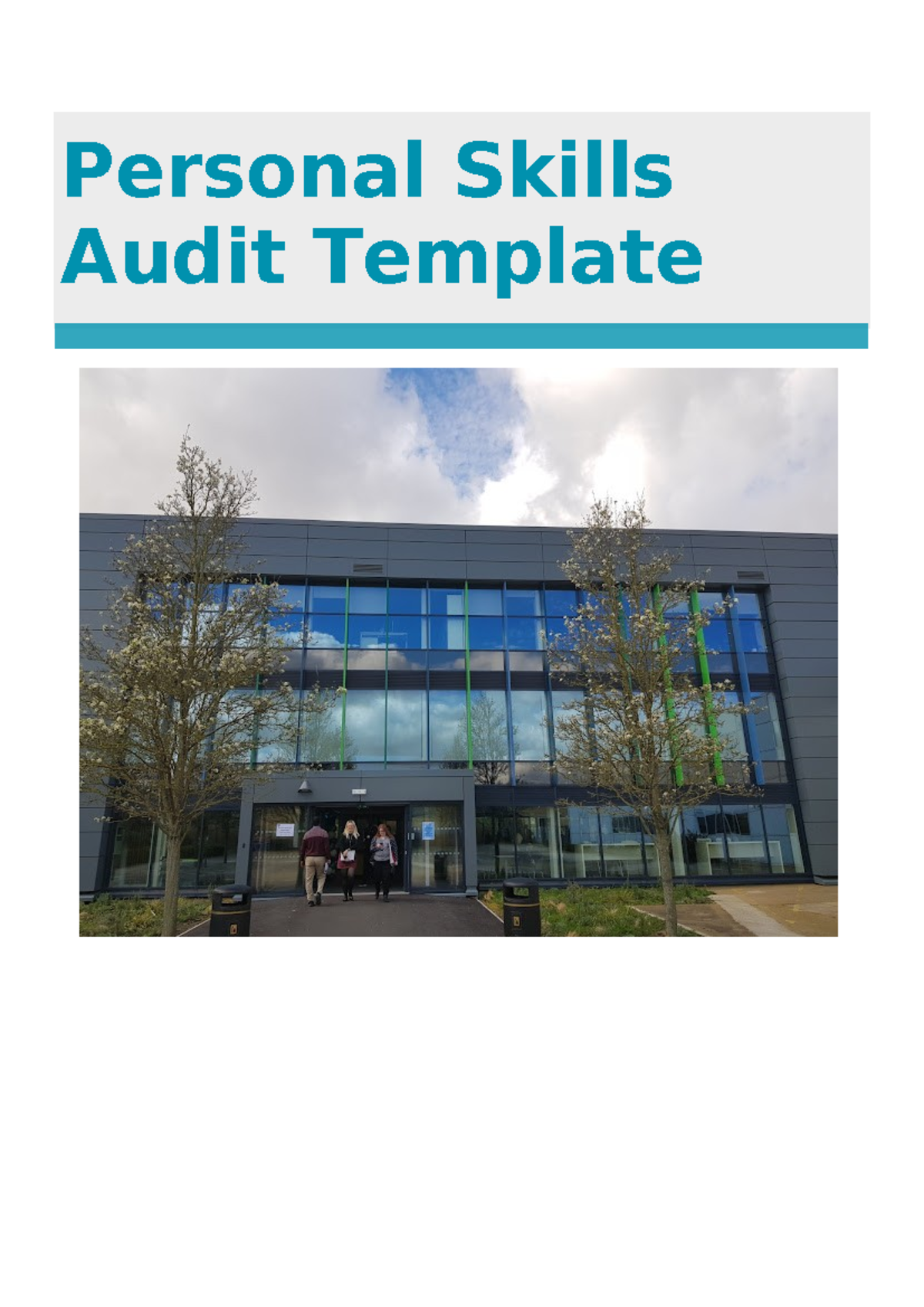 Personal Skills Audit Template for Self-Evaluation and Development ...