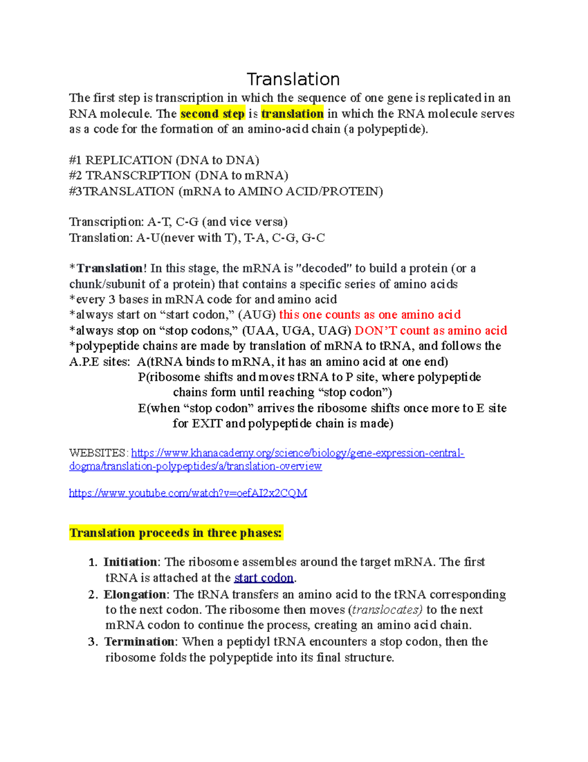 Translation Process: Transcription to Protein Synthesis Overview - Studocu