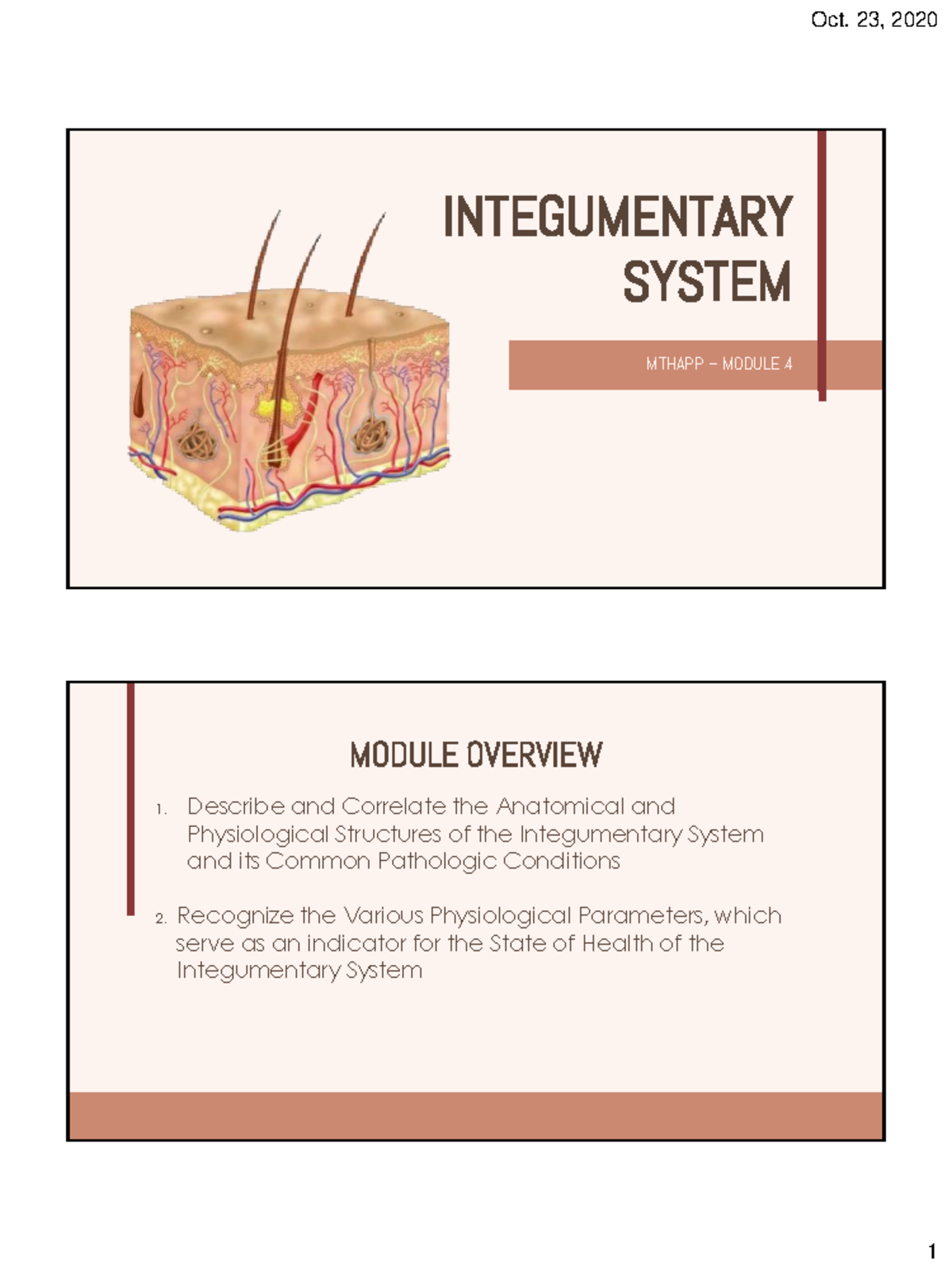 M4 Happlec Integumentary - INTEGUMENTARY SYSTEM MTHAPP – MODULE 4 MODULE OVERVIEW 1. Describe ...