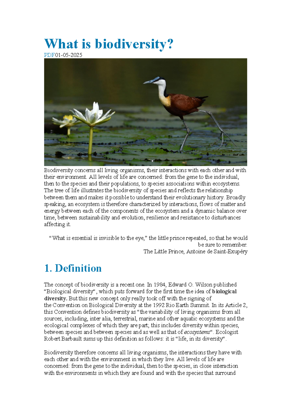 Biodiversity Explained: Understanding Ecosystems and Species ...