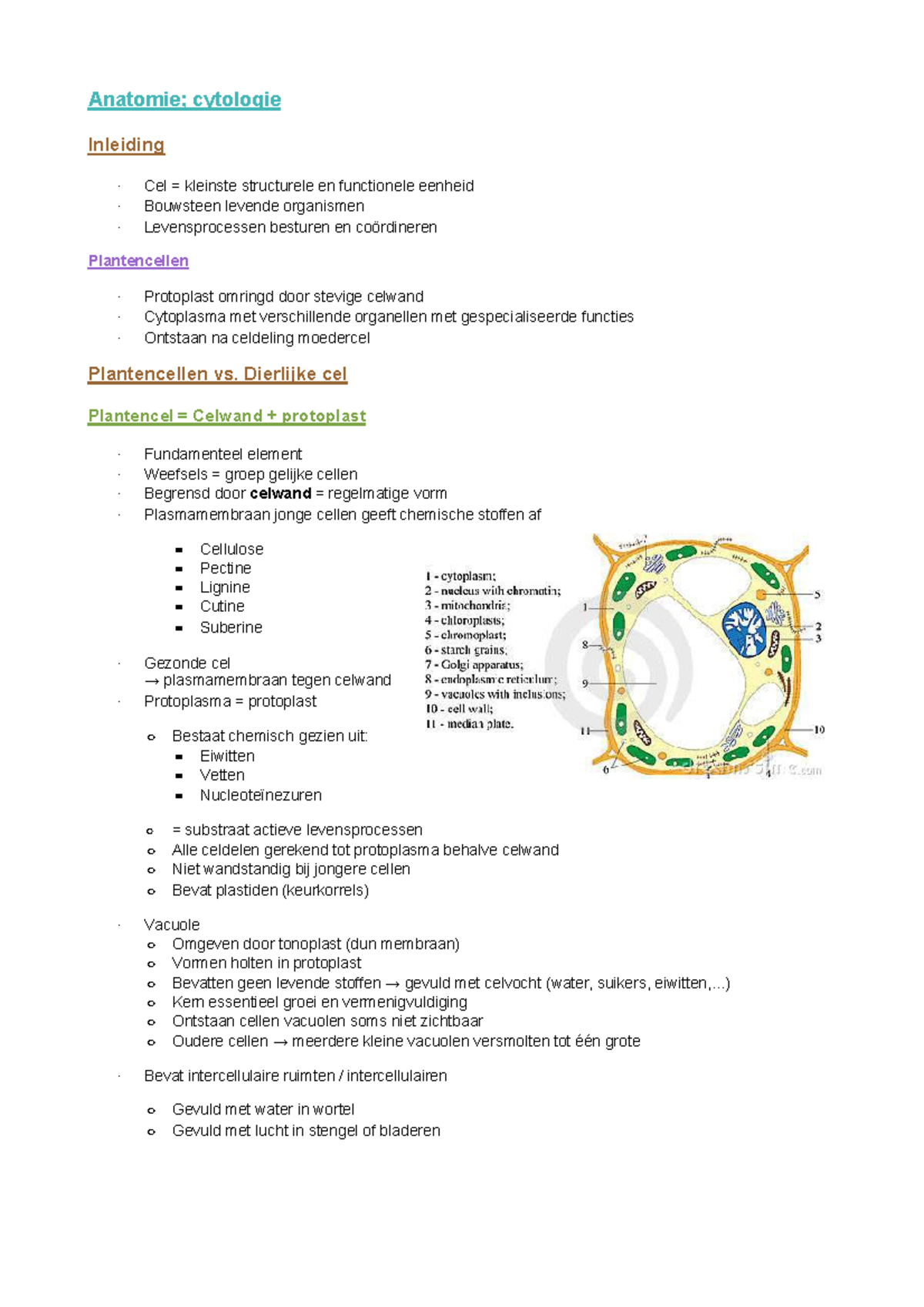 Anatomie van Plantencellen en Eukaryote Structuren (PLK 101) - Studocu