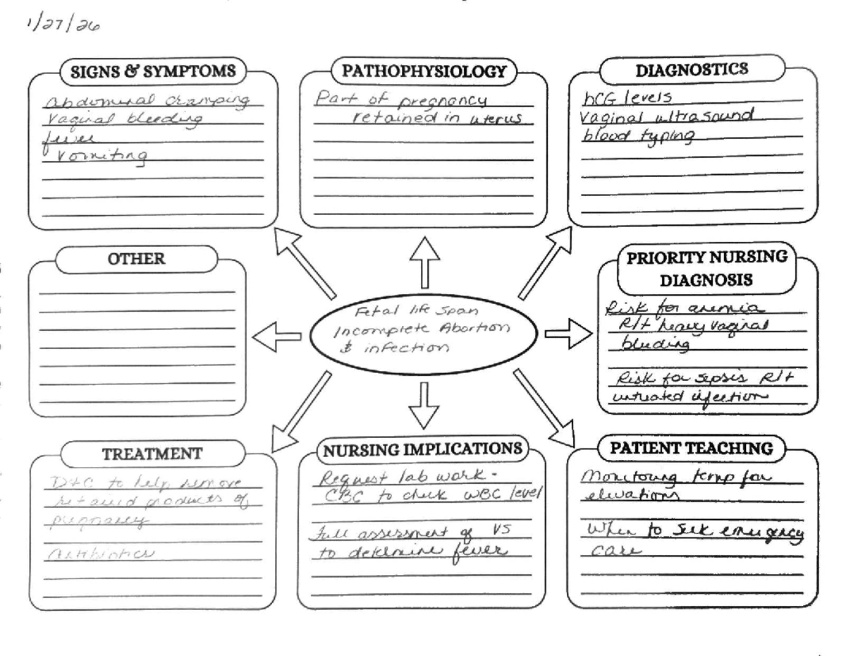 Fetal Life Span Case Study: Signs, Symptoms, and Nursing Implications ...