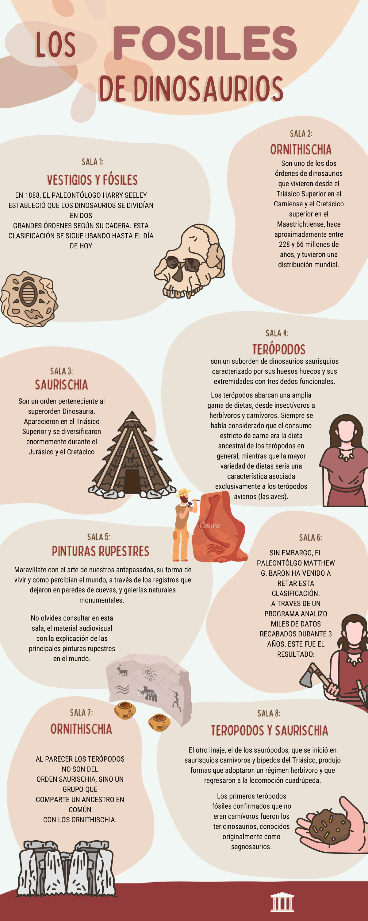 Los 2 - Infografía corta de fósiles - Psicologia evolutiva - Studocu