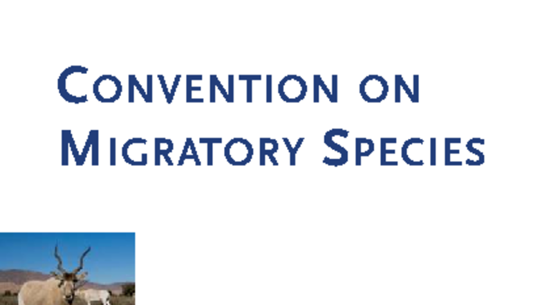 UNEP CMS Brochure: Conservation of Migratory Species and Their Habitats ...