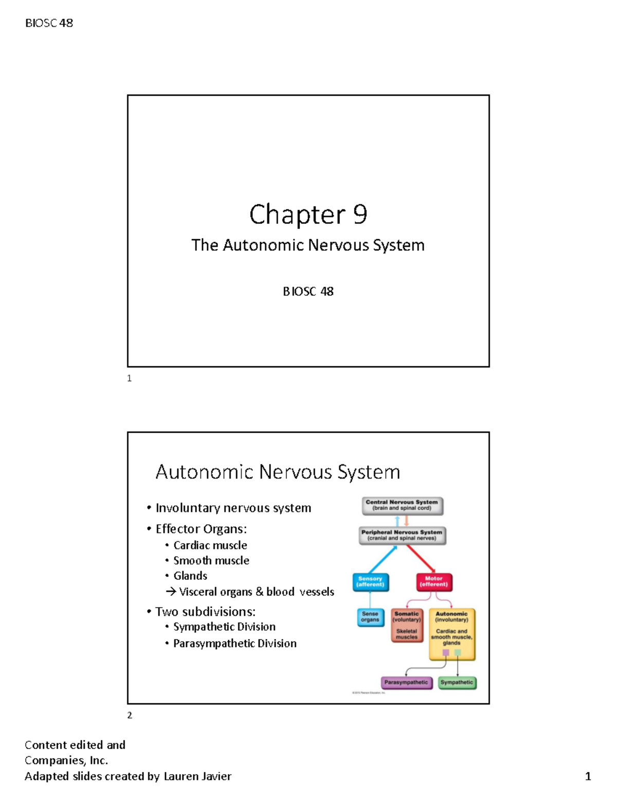 BIOSC 48 Lecture Notes: Overview of the Autonomic Nervous System - Studocu