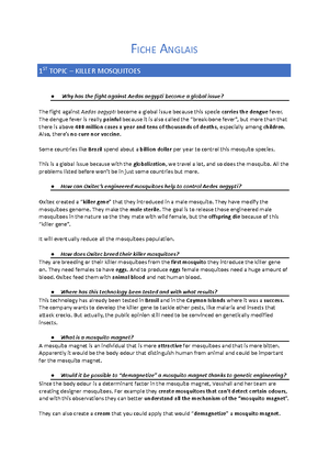 KEY Hofstede’s Cultural Dimensions - Hofstede’s Cultural Dimensions In ...