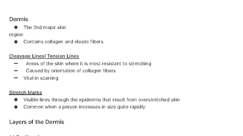 Dermis Overview: Structure, Function, and Skin Disorders - Studocu