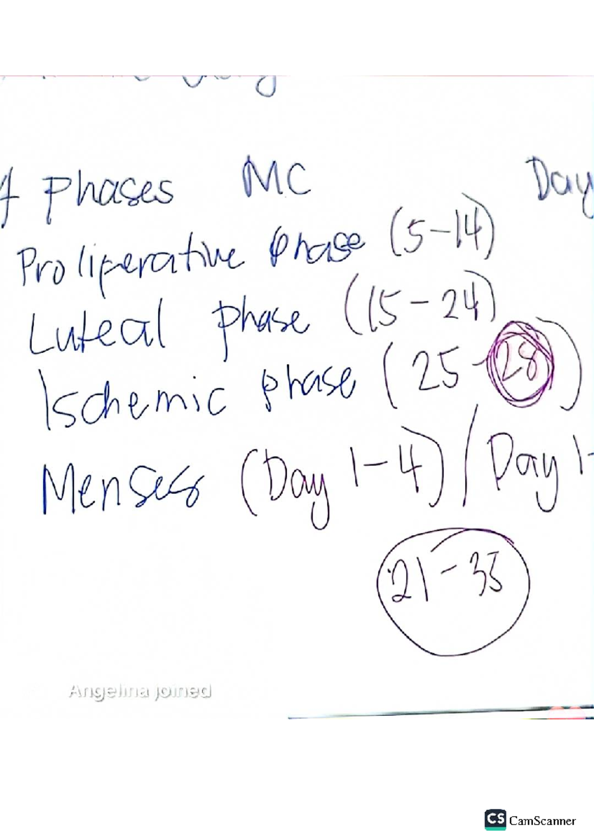 Menstrual Cycle Phases: Proliferative, Luteal, Ischemic (CS) - Studocu