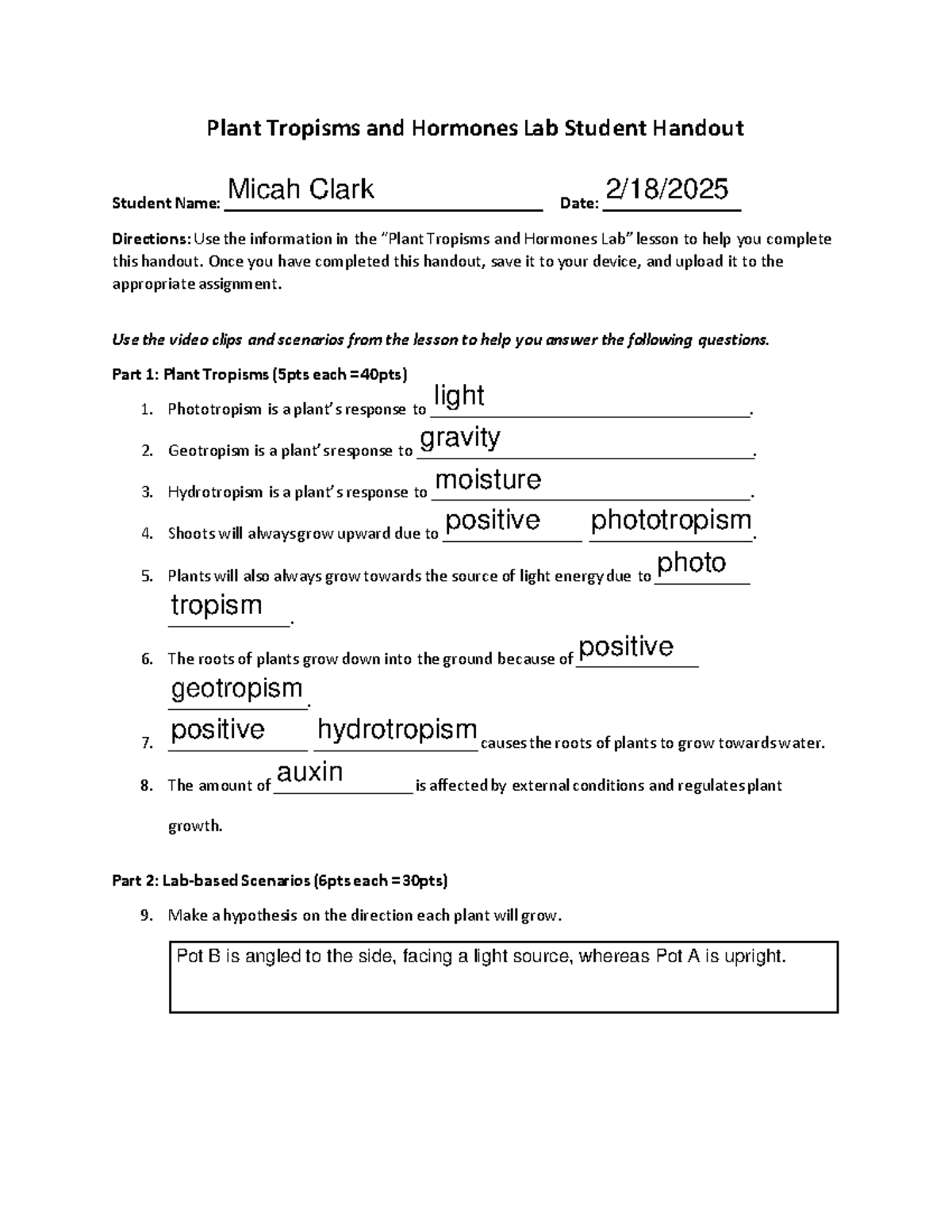 Plant (Tropisms & Hormones) Lab Handout: Student Guide - Studocu