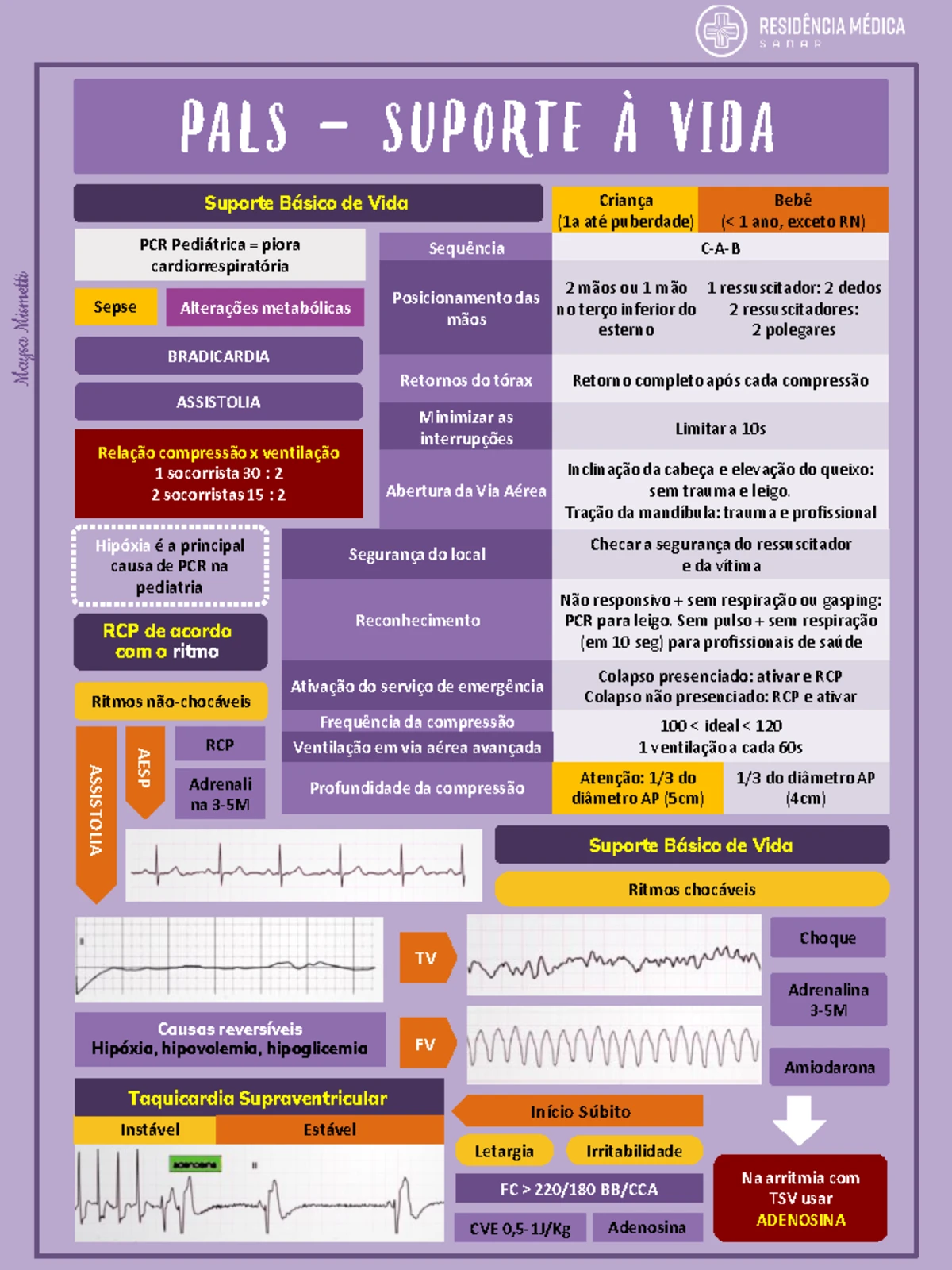 Famema 2024 prova - Lista de exercícios - Confidencial até o momento da ...