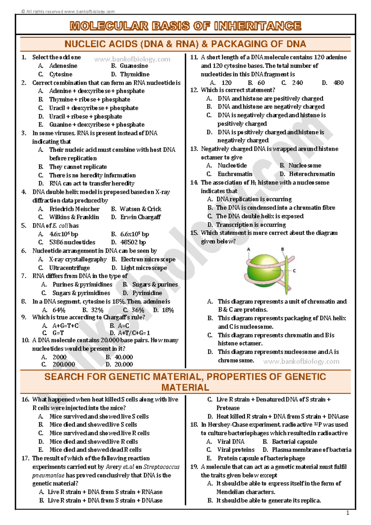 Molecular Basis of Inheritance: DNA & RNA Questions Bank (BIO101) - Studocu