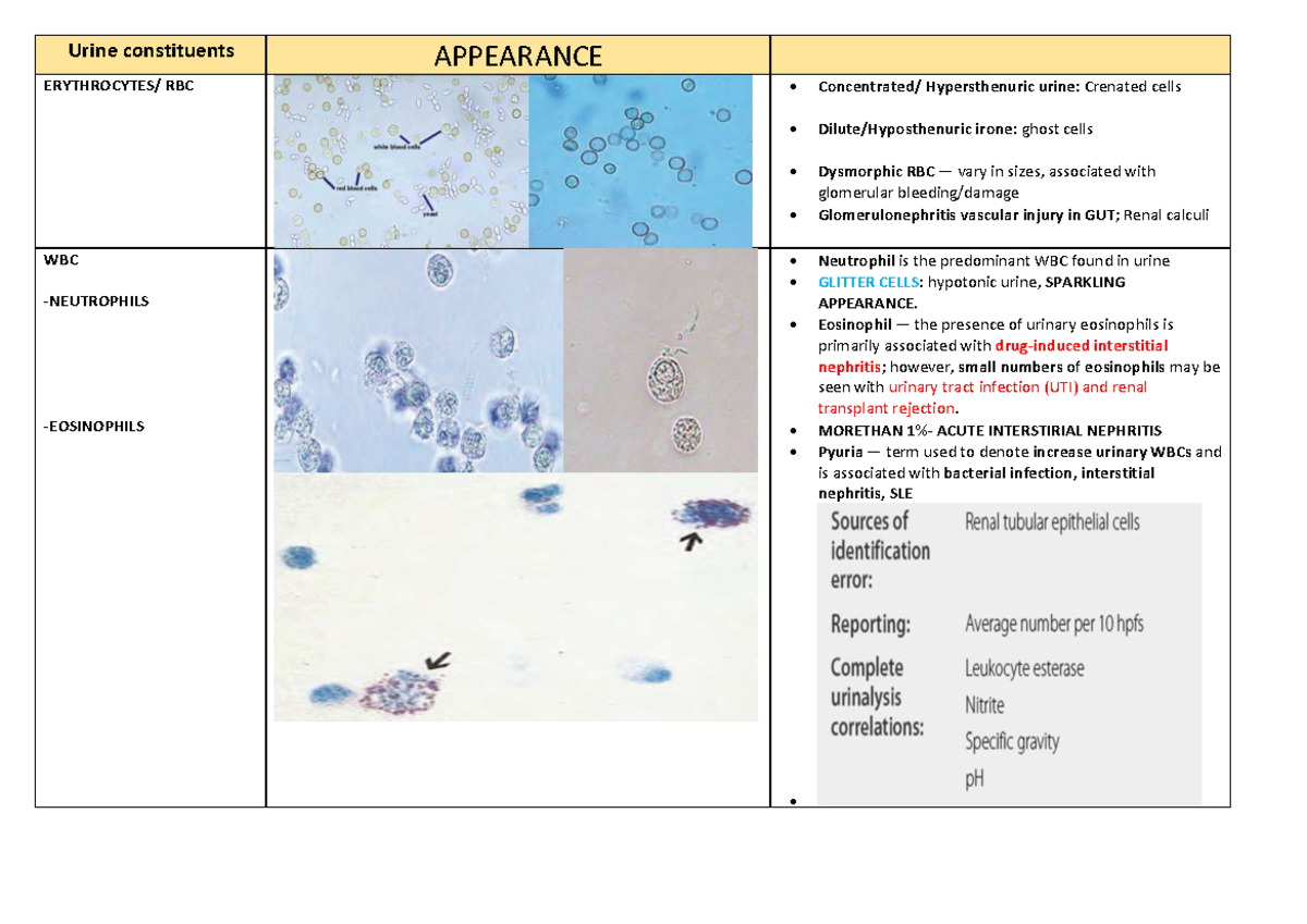 Chemical Microscopic Analysis AUBF - Urine constituents APPEARANCE ...