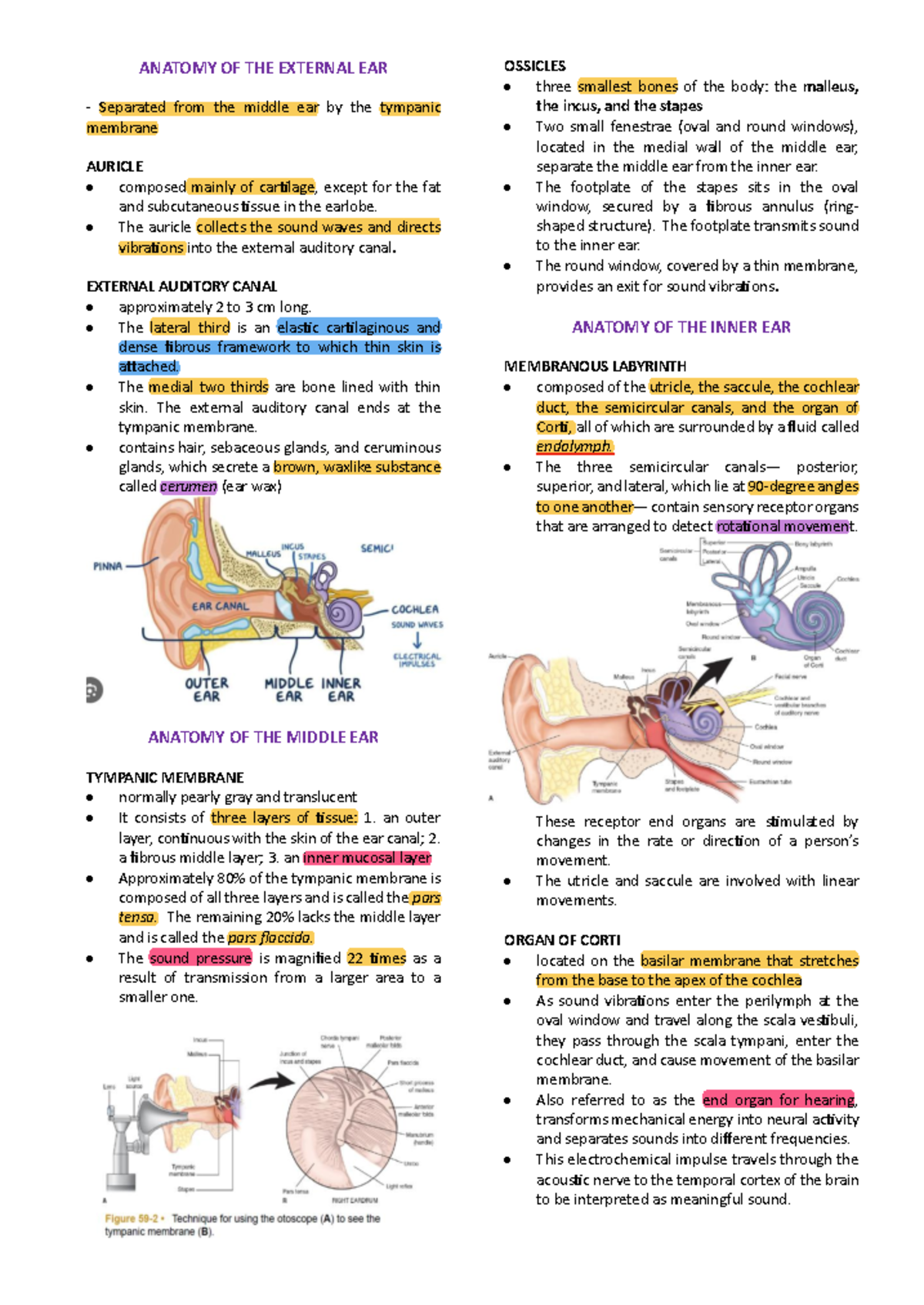 EARS 101: Anatomy and Function of the Ear - Lecture Notes - Studocu