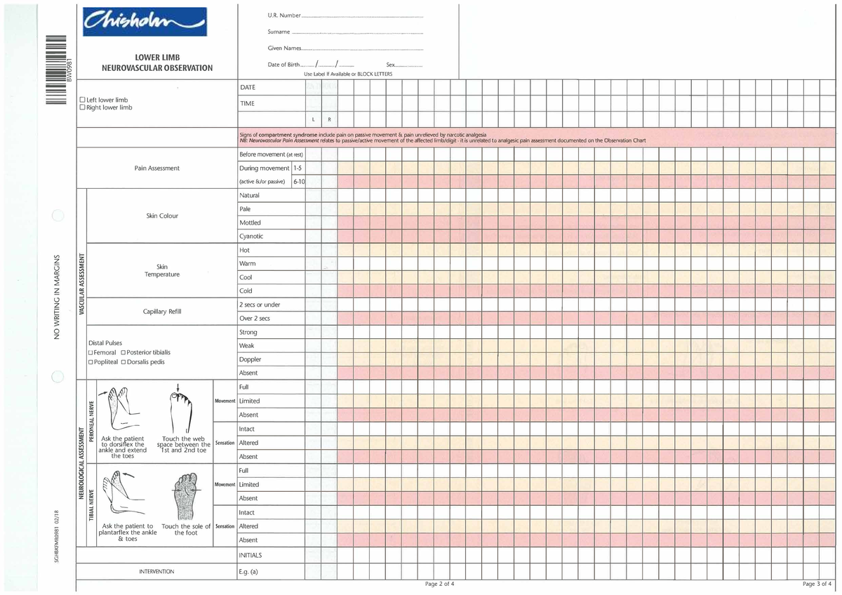 Lower limb neurovascular obs chart - iiiiiiiiiiiii - ==co ...