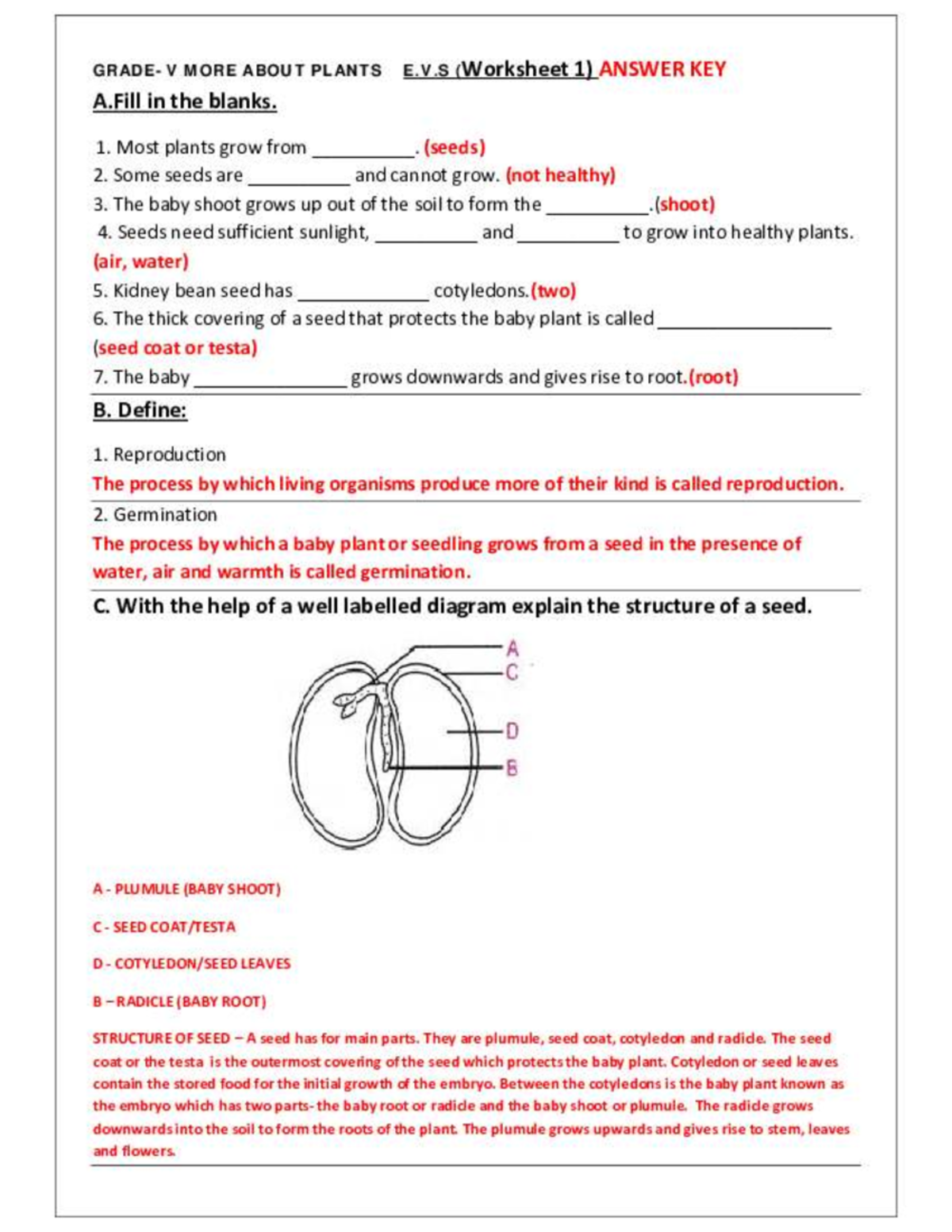 E.V.S Worksheet 1: Plants - Answer Key & Seed Structure Explained - Studocu