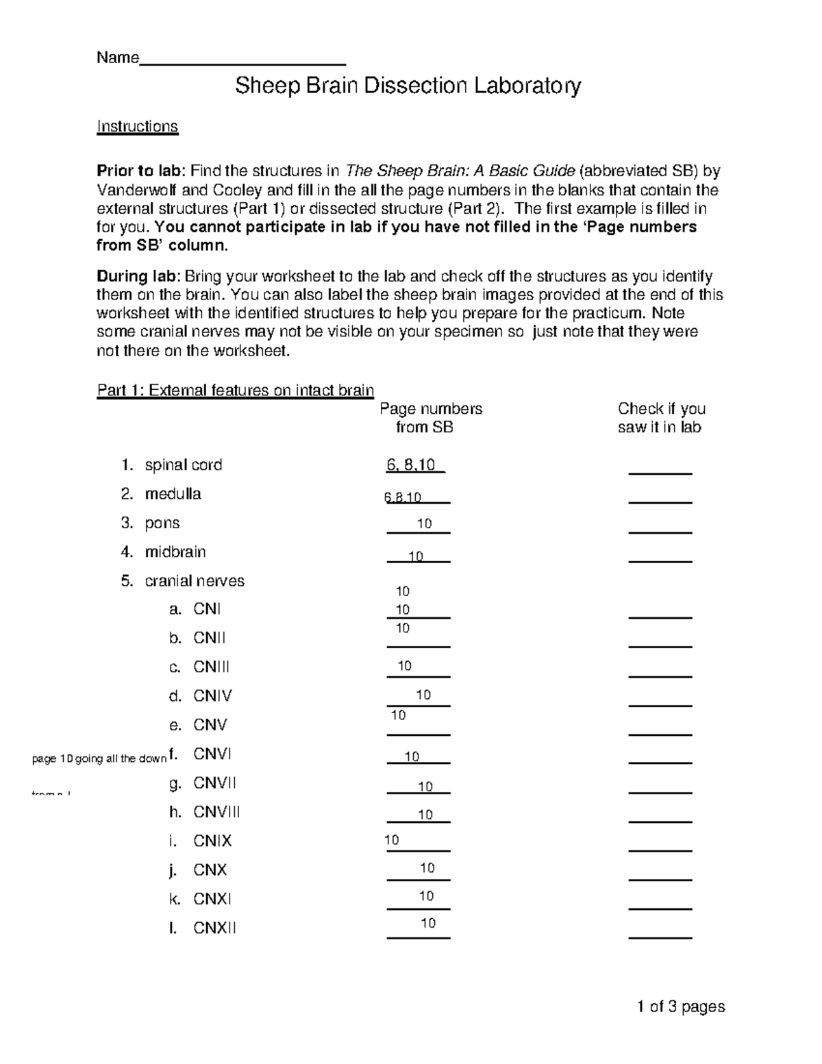 3 completed - Worksheet Sheep Brain Dissection Laboratory - Name 1 of 3 ...