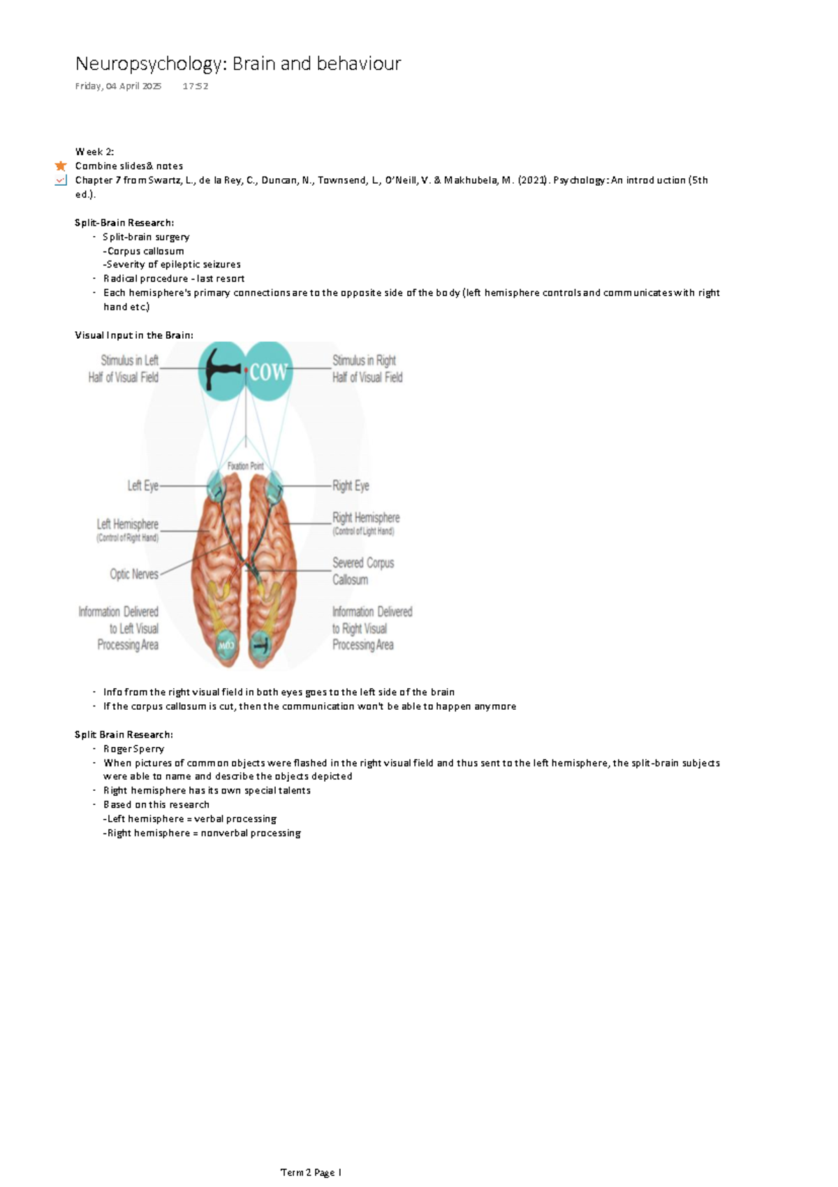 Neuropsychology: Week 2 Notes on Brain and Behavior (PSY 101) - Studocu