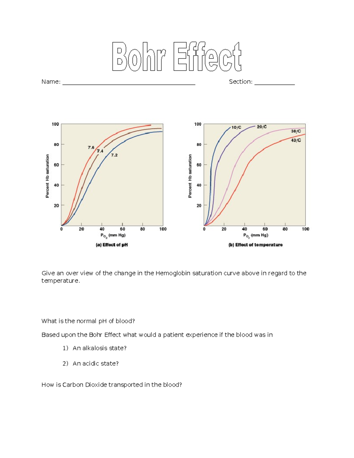 Bohr Effect Worksheet - BIO-181 - Name ...