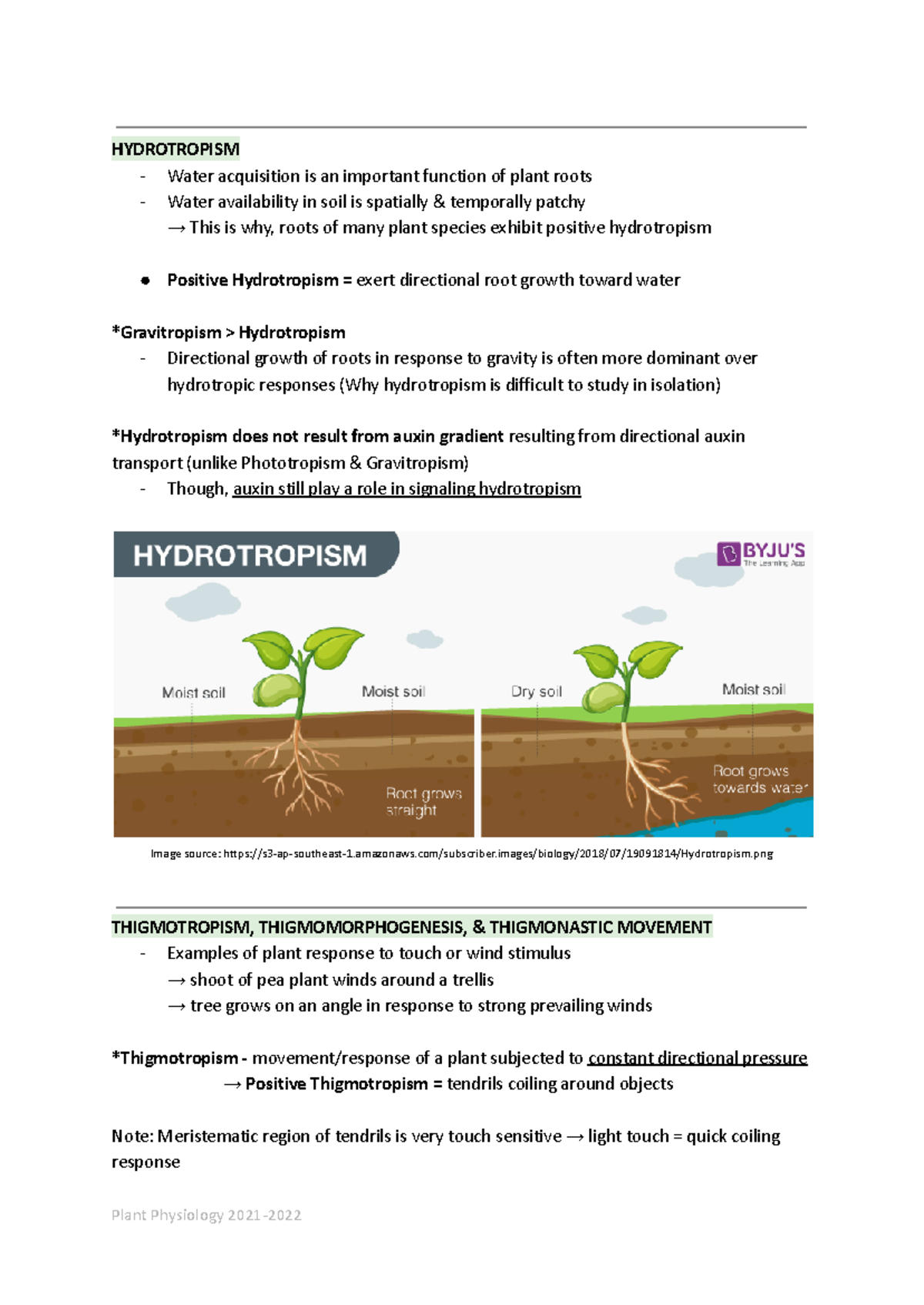Plant Physiology: Examining Hydrotropism & Thigmotropism Mechanisms ...