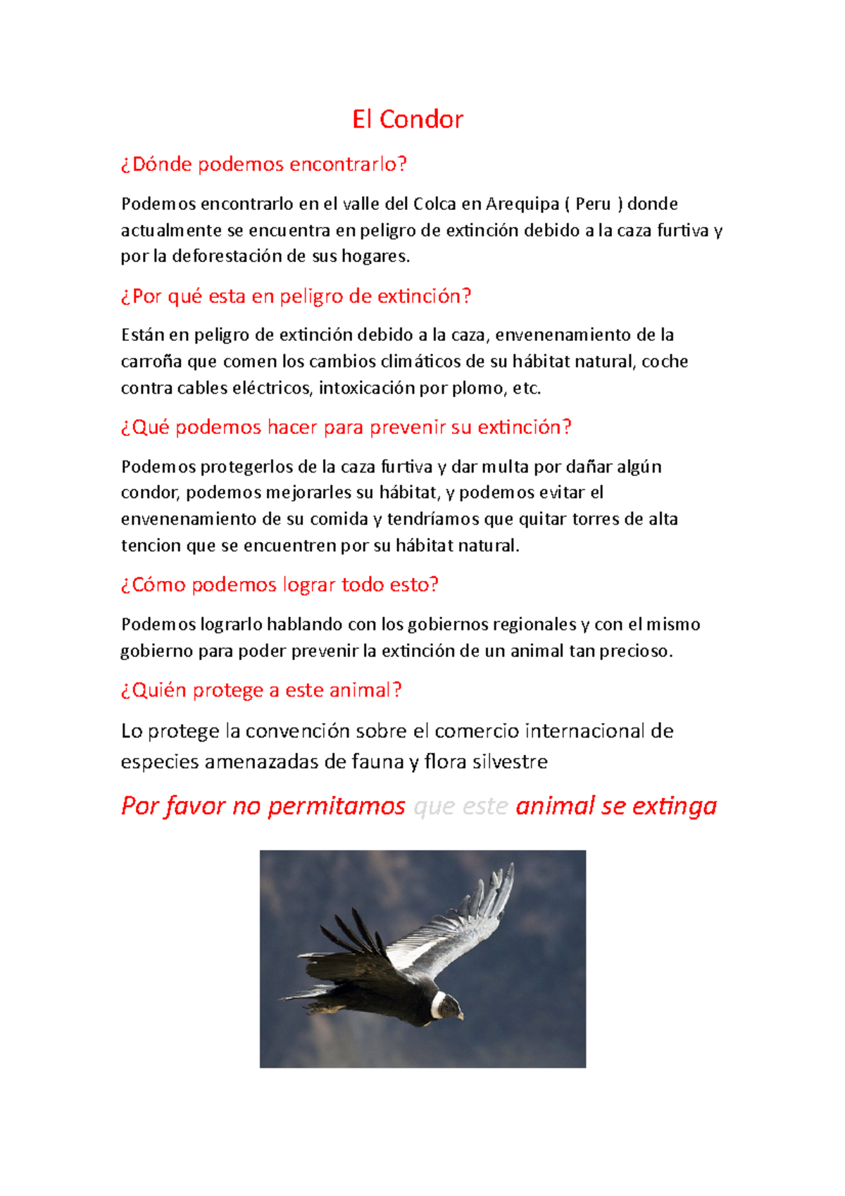 El Condor Andino creado y editado por mi hermano - El Condor ¿Dónde ...