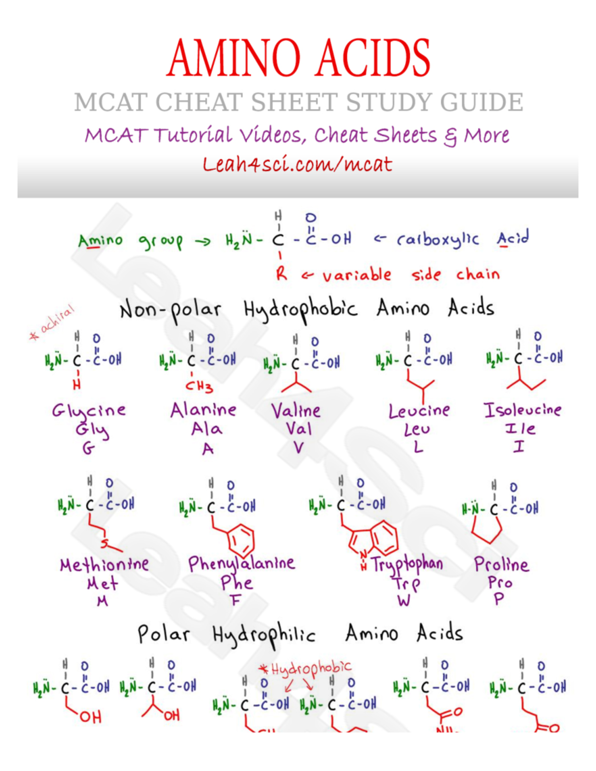 MCAT Amino Acids Cheat Sheet Study Guide for Quick Review - Studocu