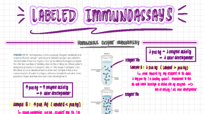 Labeled Immunoassay 2 - Side Notes on Enzyme Activity and Polarization ...