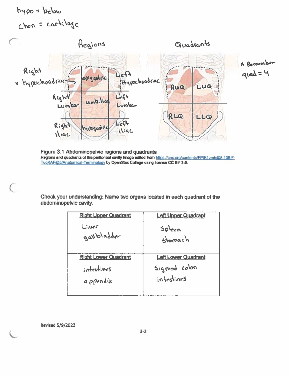 Midterm Study Guide for Biology 101: Abdominopelvic Regions & Quadrants ...