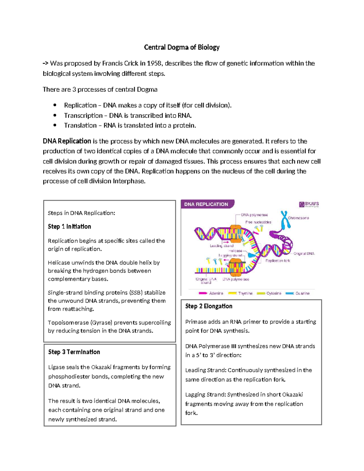 Central Dogma of Biology: DNA Replication Process Explained - Studocu
