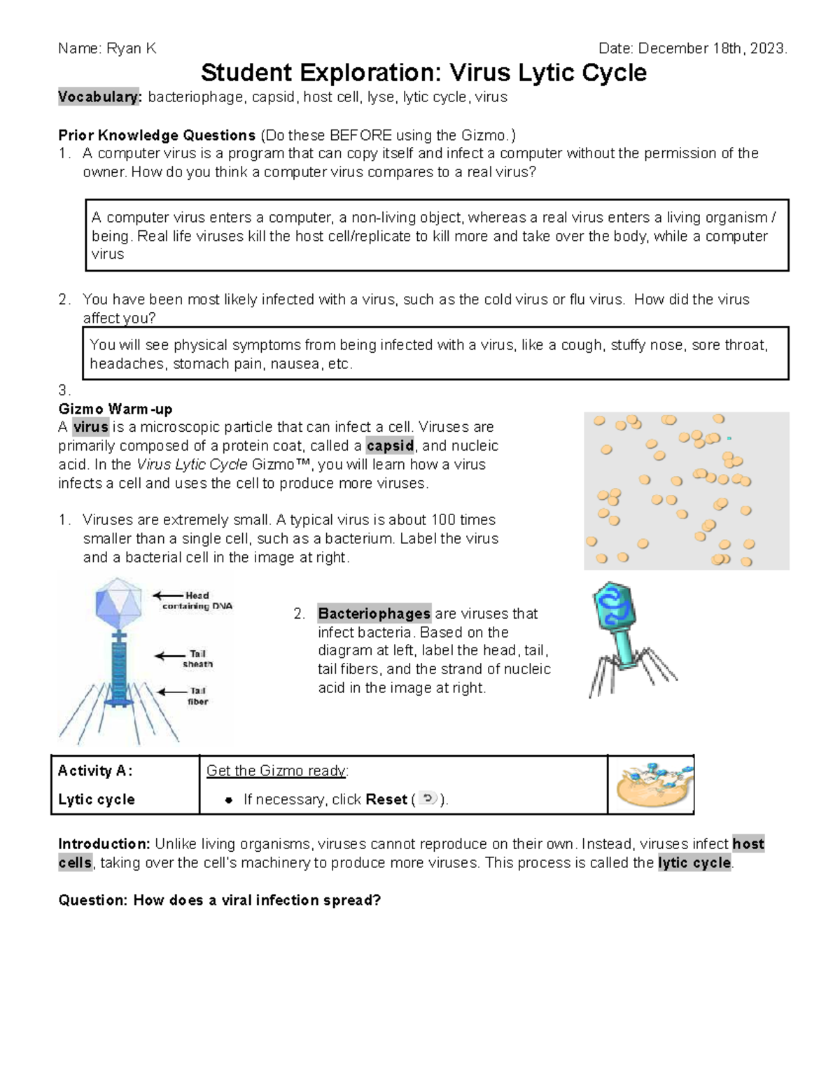 Gizmo Virus Lytic Cycle Exploration - Student Handout 2022 - Studocu
