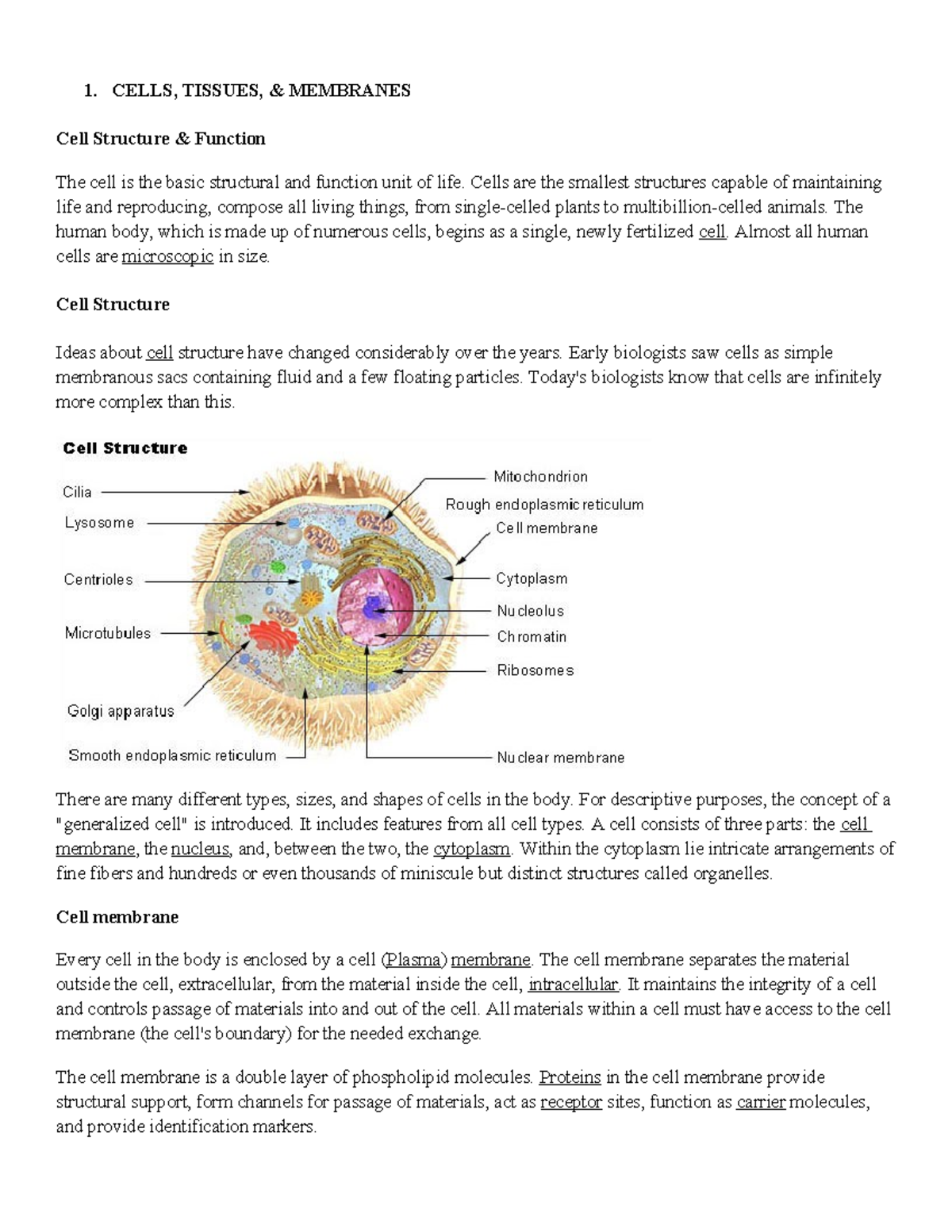 2. Cells, Tissues AND Membranes - 1. CELLS, TISSUES, & MEMBRANES Cell ...