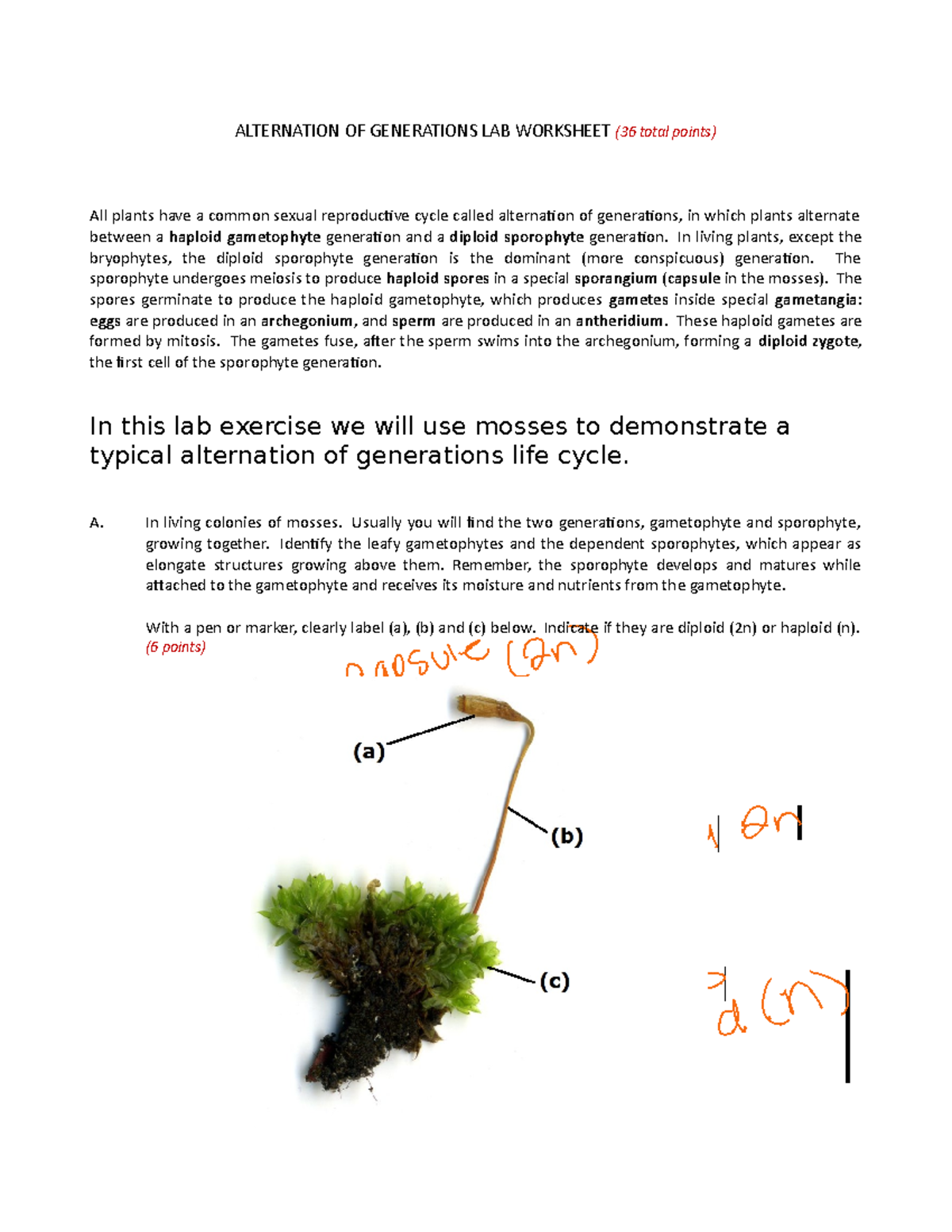 Lab Worksheet on Alternation of Generations in Moss (BNG 101) - Studocu