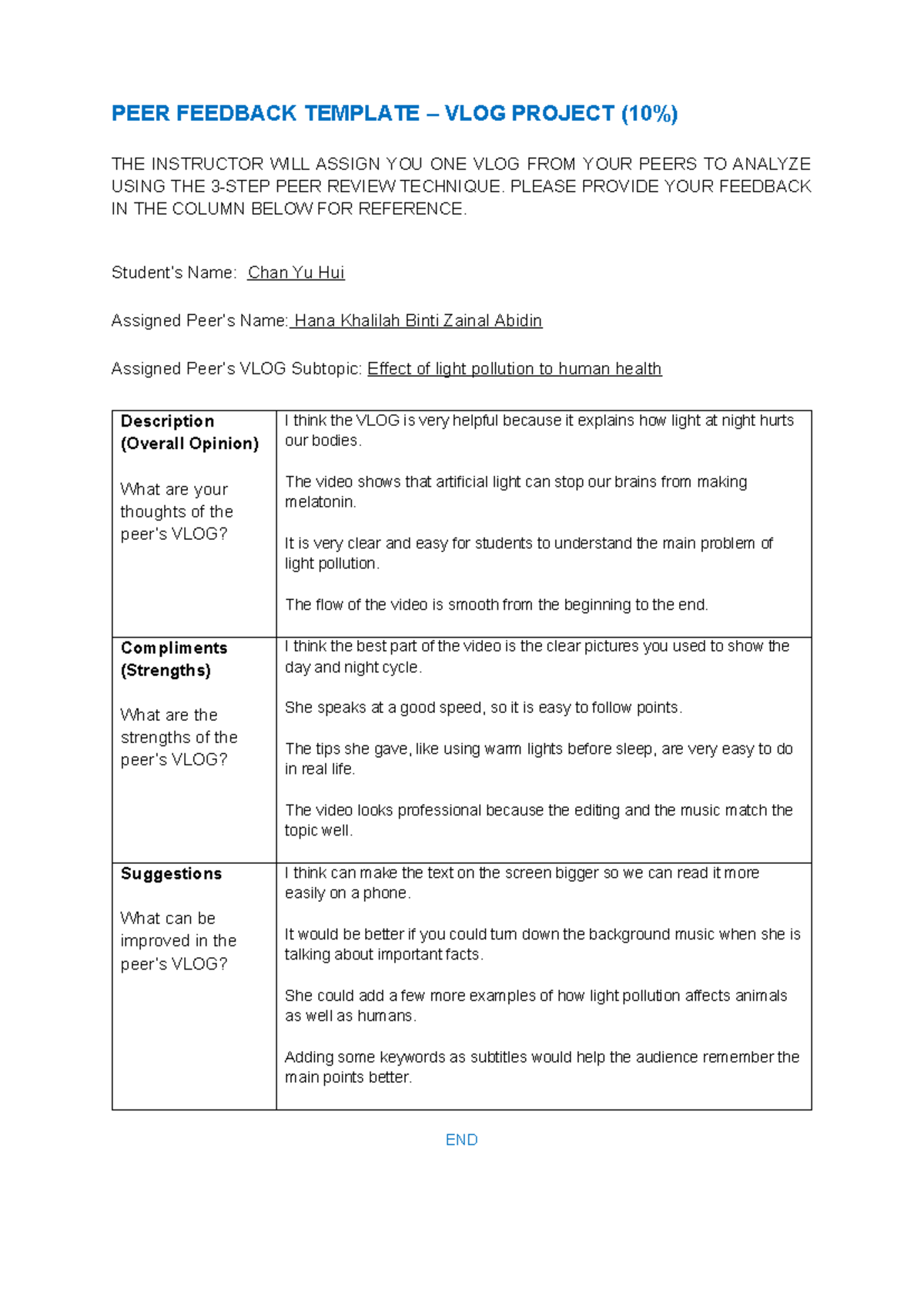 UB00202 Peer Feedback Template for VLOG Project Analysis - Studocu