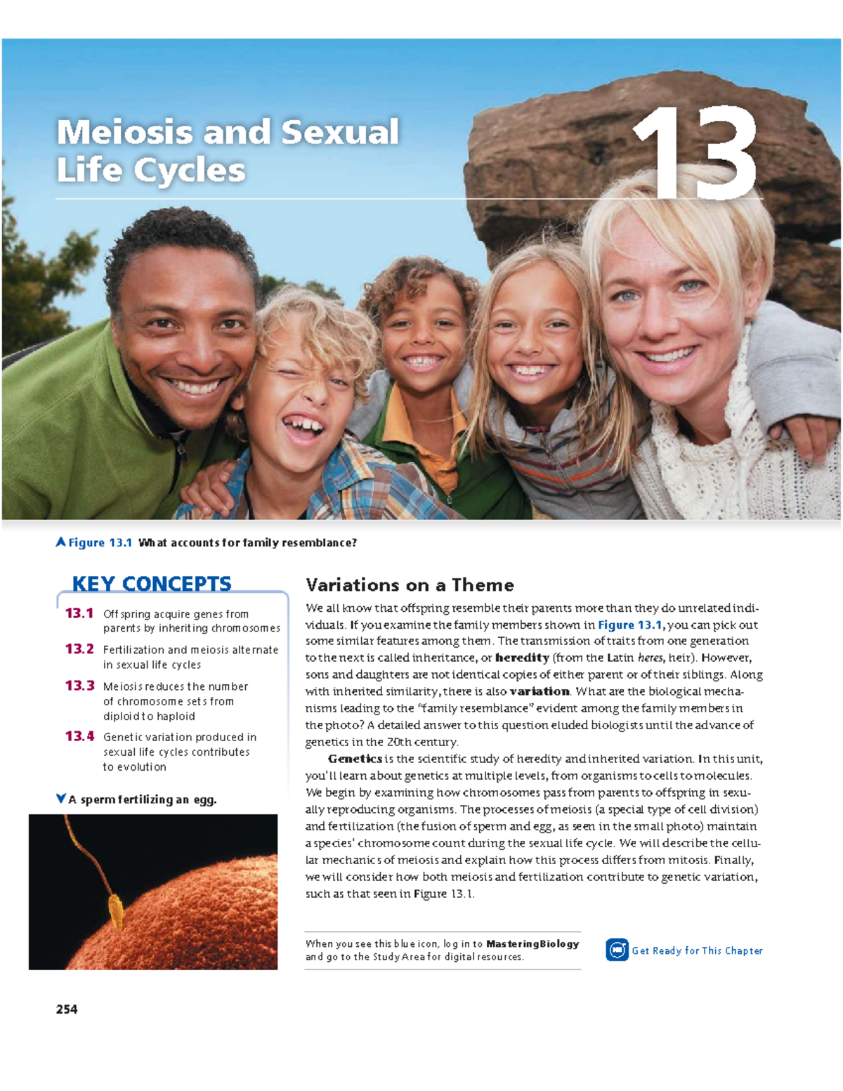 Meiosis and Sexual Life Cycles: Understanding Genetic Variation in BIO ...