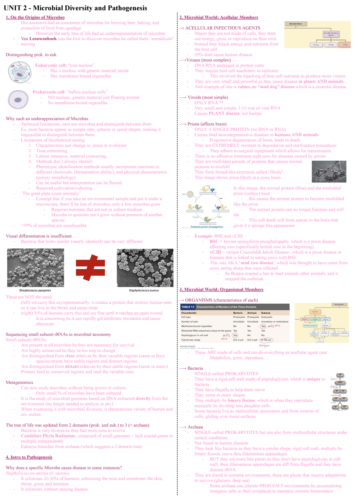 Unit 2 - Microbial Diversity & Pathogenesis Lecture Notes - Studocu