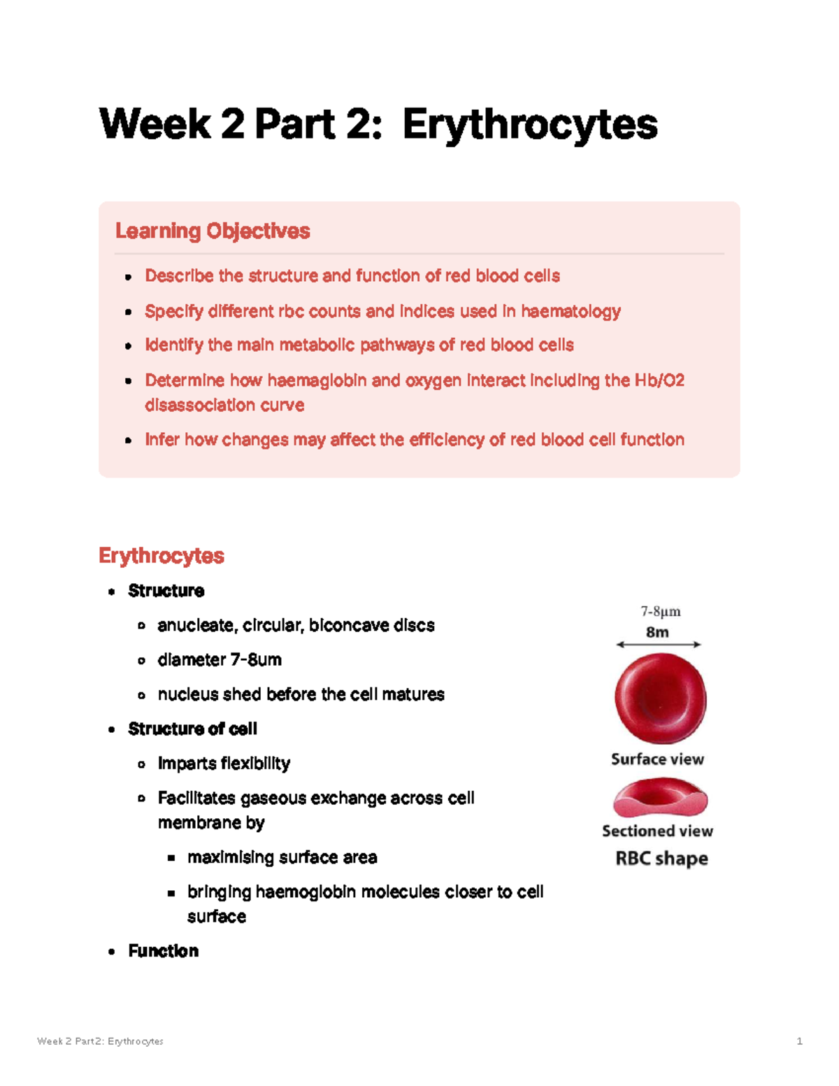 Week 2 Part 2: Erythrocytes - Structure, Function, and Metabolism - Studocu