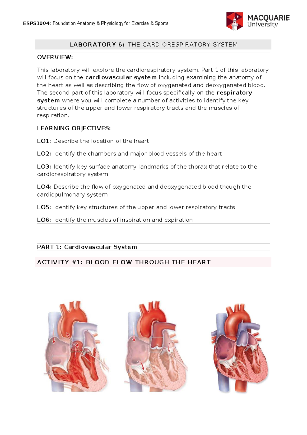 ESPS1004 Week 6 Cardiorespiratory System 2025 - LABORATORY 6: THE ...