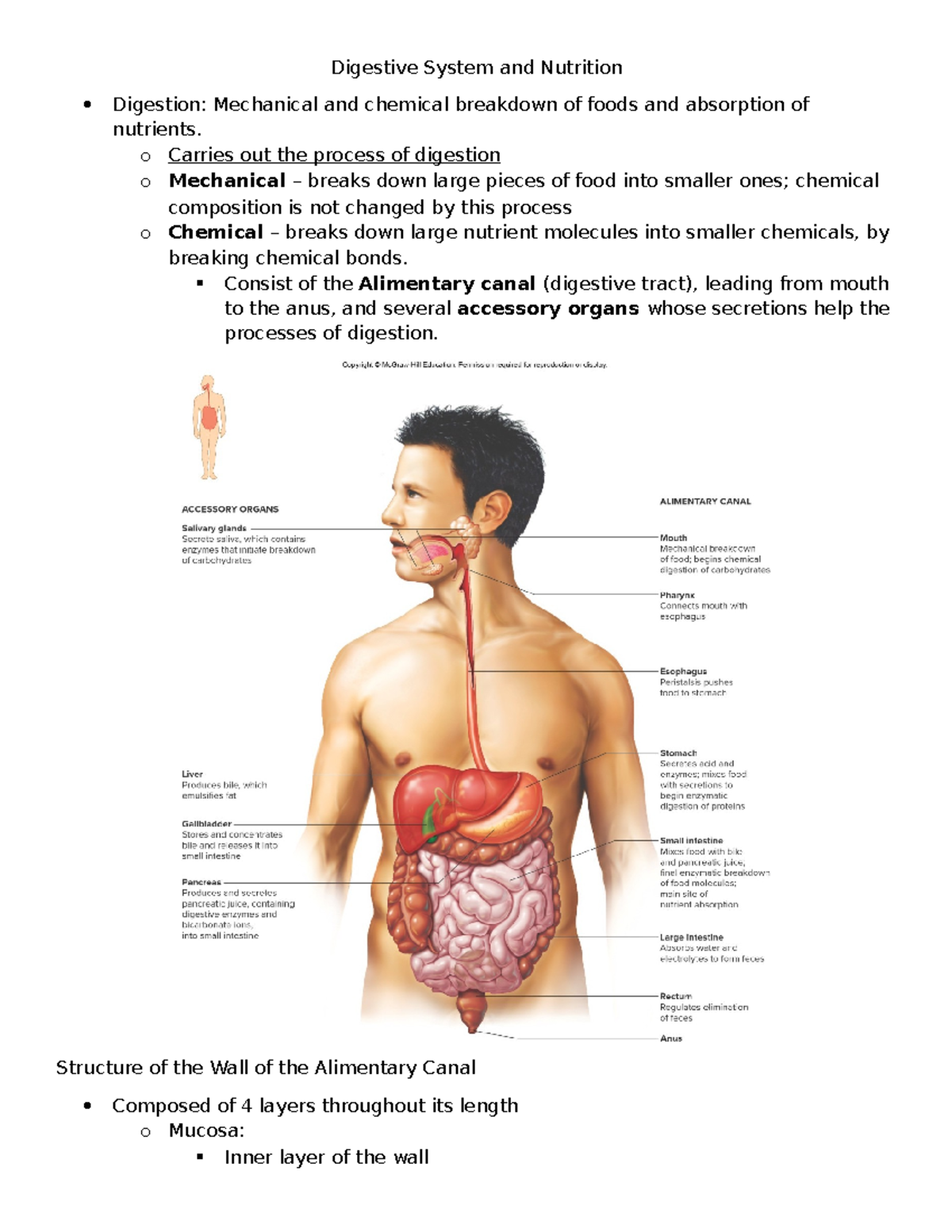 Digestive System and Nutrition Overview for BIO 101 Final Exam - Studocu