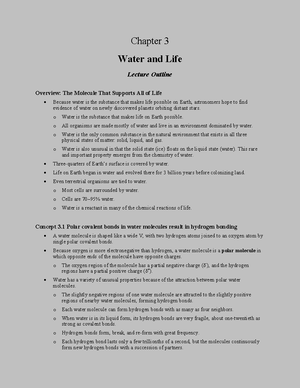 CH 5 The Structure and Function of Large Biological Molecules - Chapter ...