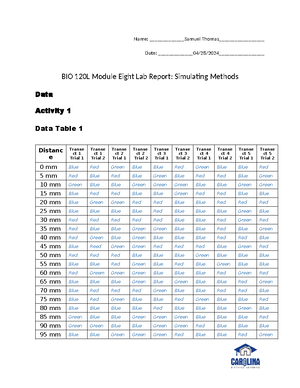 ENV 220 Stream Morphology Lab Report: Understanding Water Movement and ...
