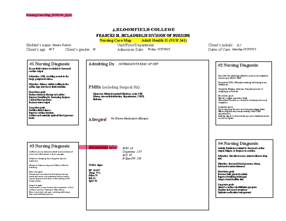 Nursing Care Map Final for Adult Health II (NUR 341) - Studocu