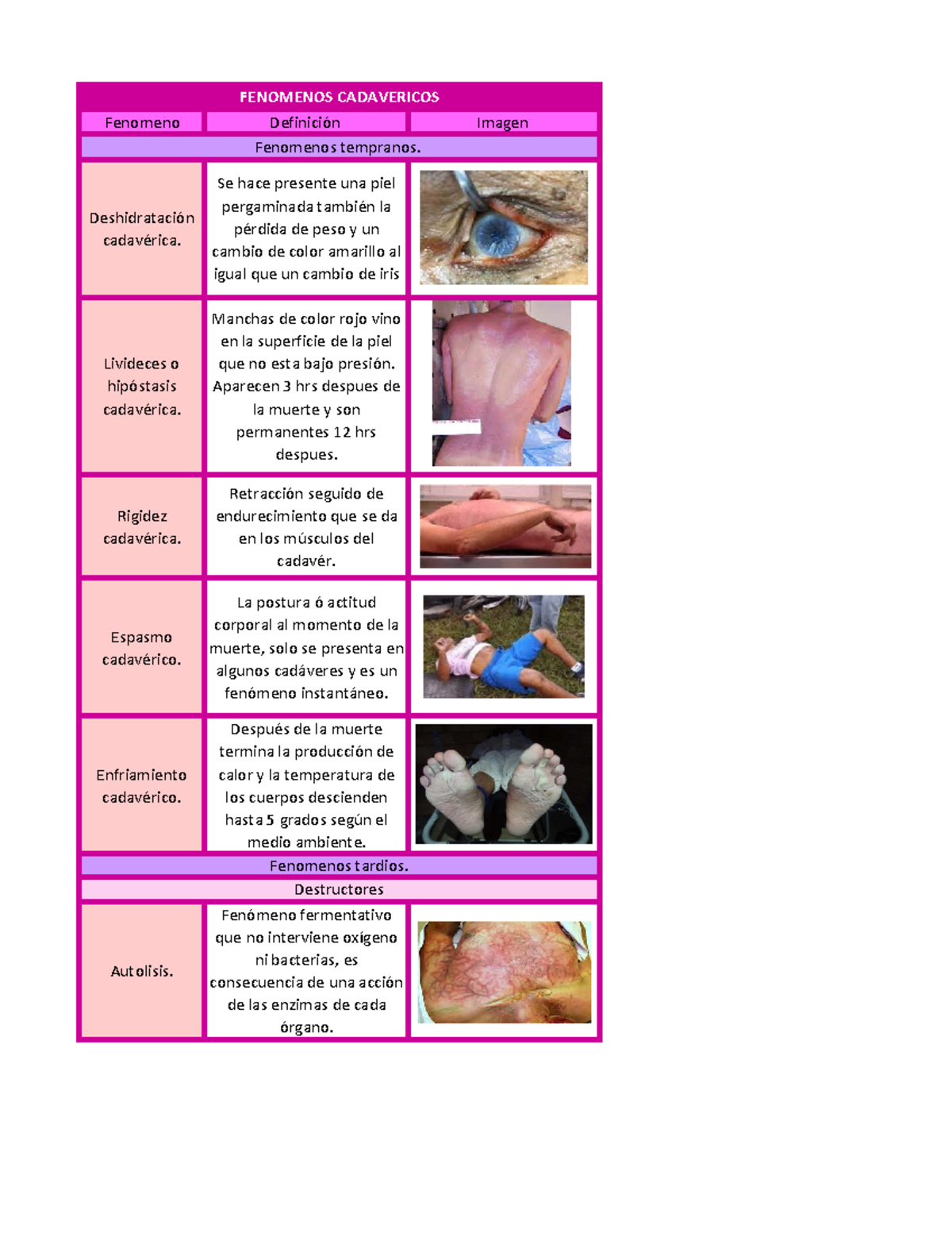 Fenómenos Cadavéricos: Definición y Clasificación Detallada - Studocu