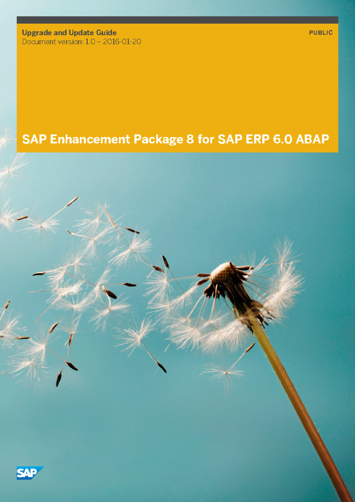 Upgrade and Update Guide for SAP EHP 8: SAP ERP 6.0 ABAP Documentation ...