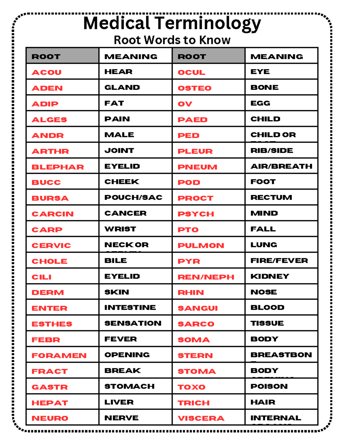Medical Terminology: Essential Roots, Prefixes, Suffixes ...