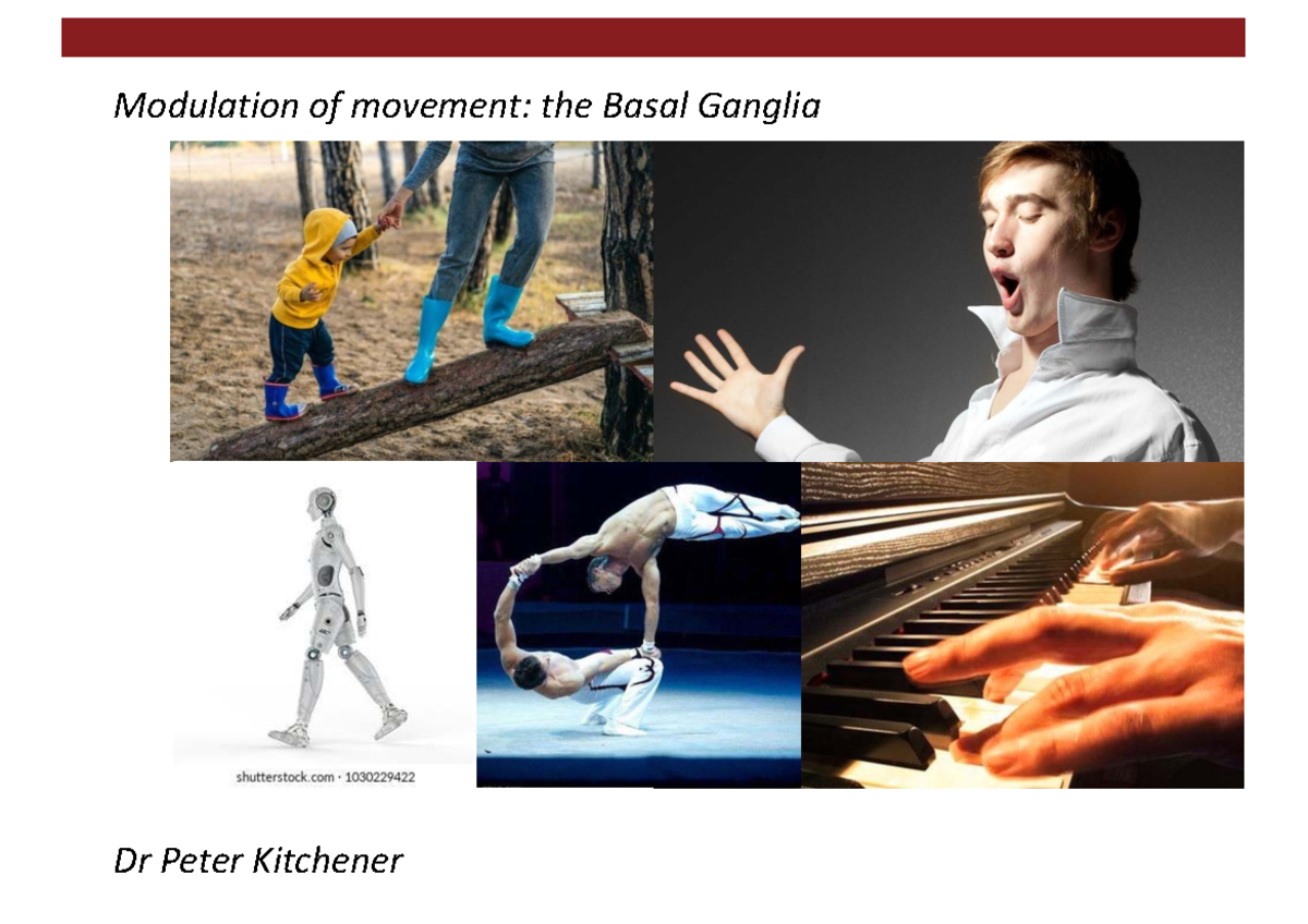 18 lect18 2023 - slides - Modulation of movement: the Basal Ganglia Dr ...