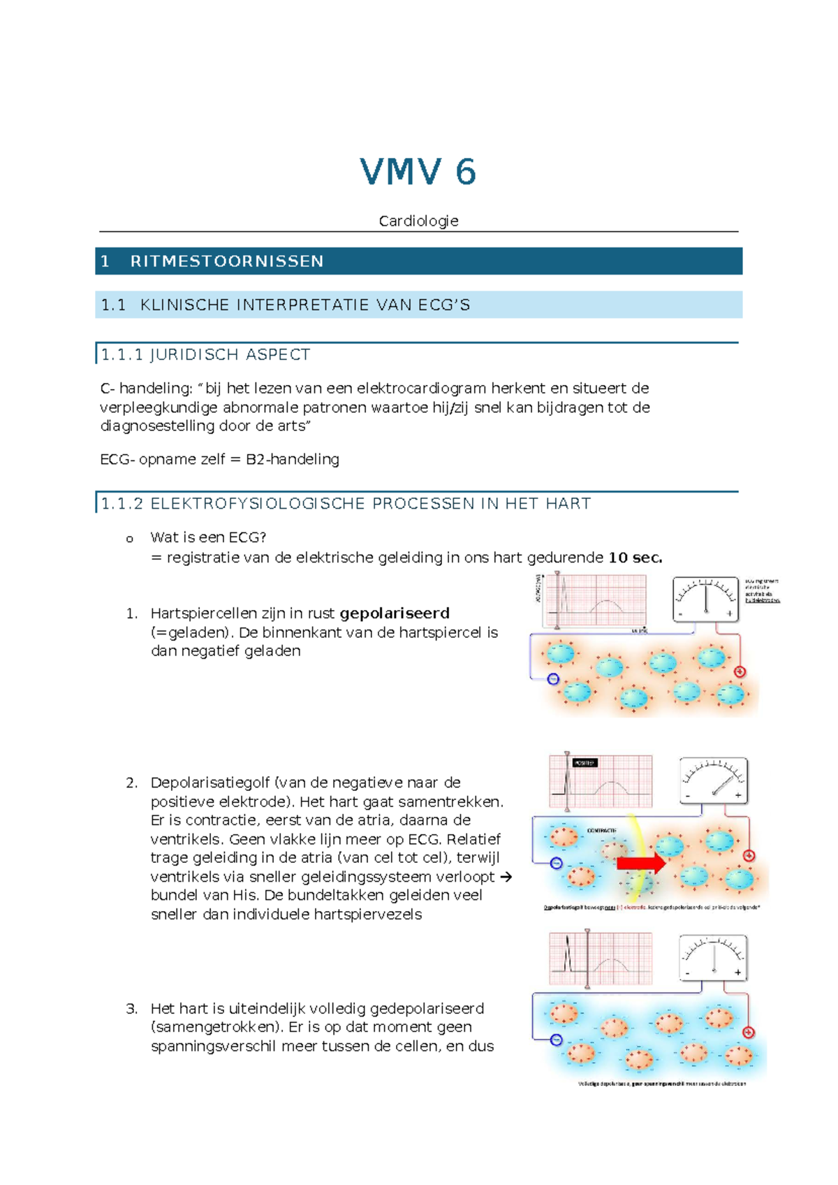 VMV 6 Cardiologie 1: Klinische Interpretatie van Ritmestoornissen - Studocu